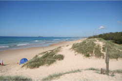 Marcoola Beach Sunshine Coast | Petfriendly Holiday Houses